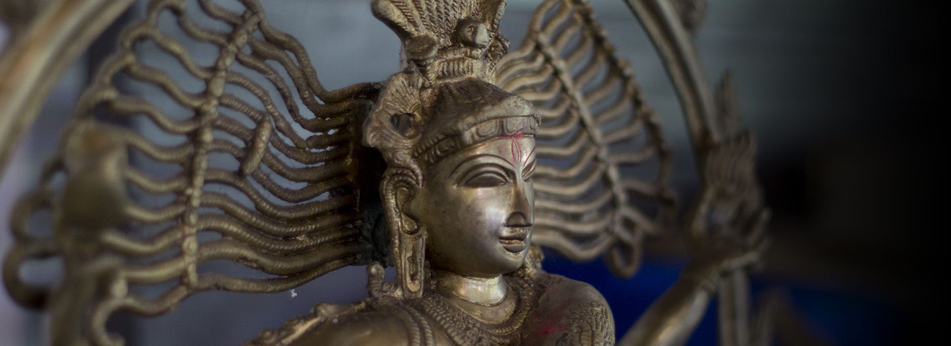 Kashmir Shaivism Intensive Practice - Agama Yoga